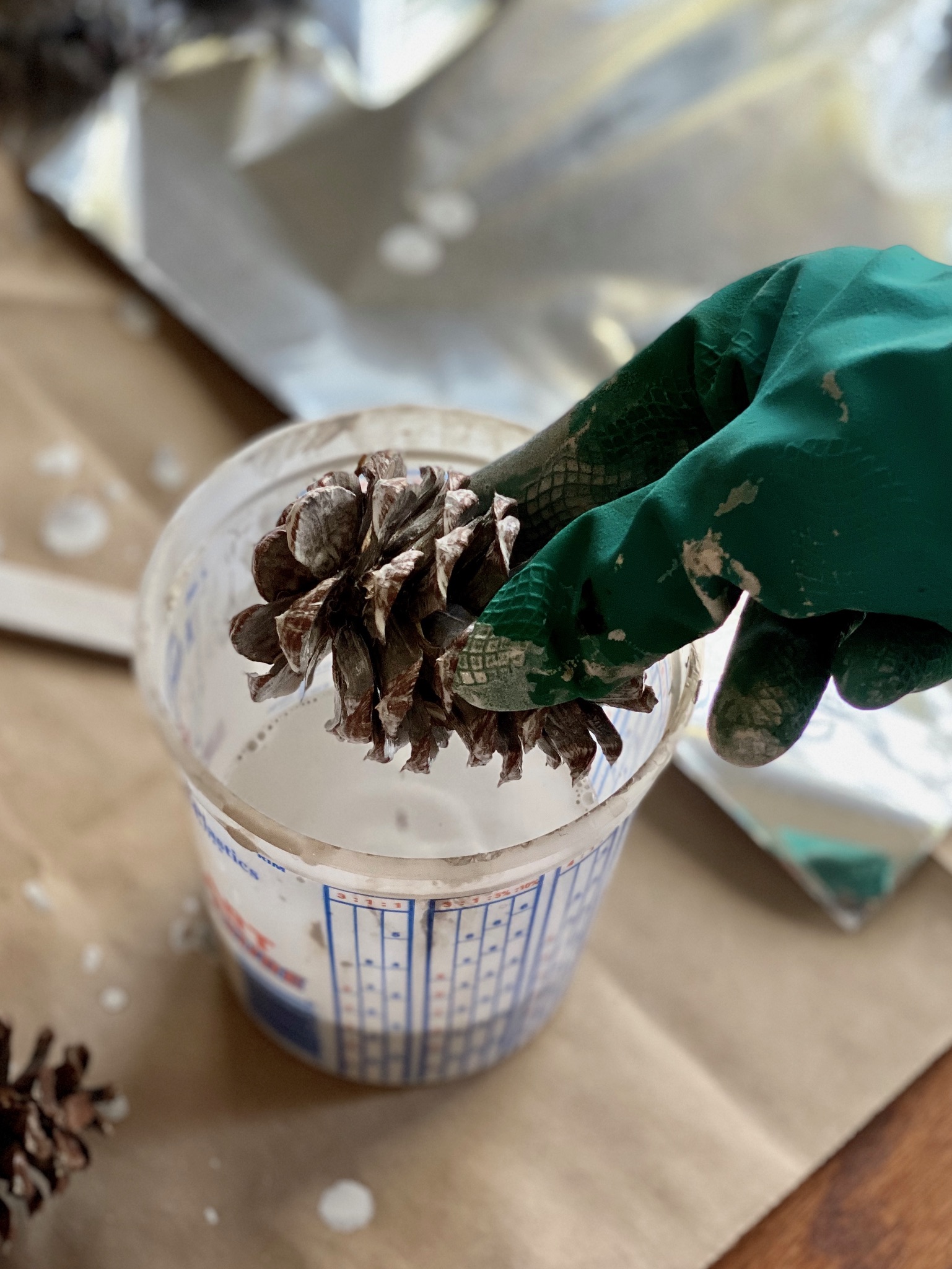 How To Make Bleached Pinecones Without Bleach - Nature Way